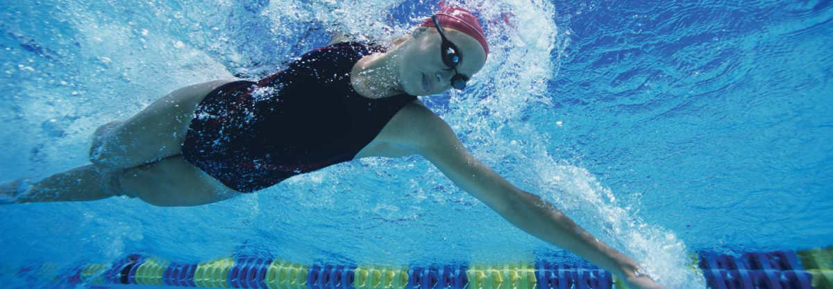 Lap Swim & Swim Clubs Tampa Metropolitan Area YMCA